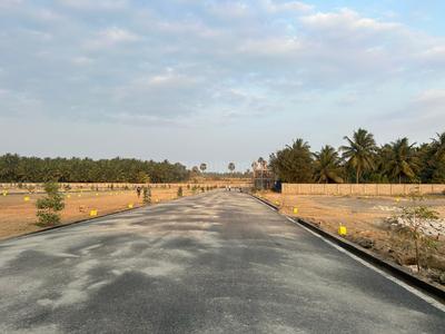 Oak Tree Location Map Madukkarai, Coimbatore