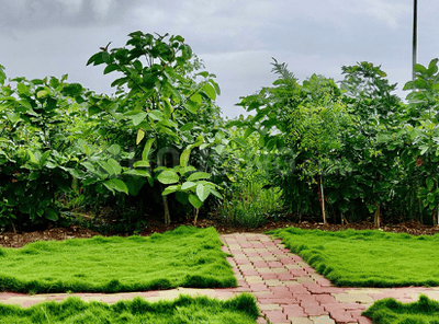Preethi Velammal Garden in Padappai, Chennai - Price, Reviews & Floor Plan