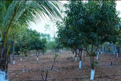 Sahasra Mango Garden Phase 1 Location Map Bibinagar, Hyderabad