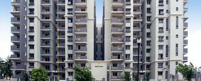 Sobha Daisy in Bellandur, Bangalore - Price, Reviews & Floor Plan