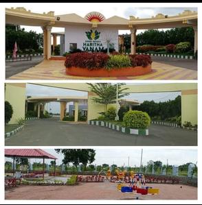 Haritha Vanam Location Map Sadasivpet, Hyderabad