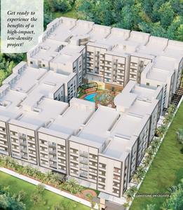 Oakstone Sn Celeste in Electronic City, Bangalore - Price, Reviews ...