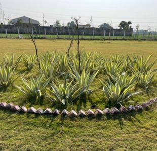 Land Science Buildwell Llp Gulmohar Garden in Tappal, Aligarh - Price ...