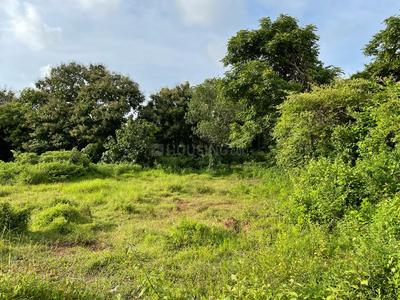Buy Residential Plots for sale in North Goa, Goa | 218+ Lands for sale ...