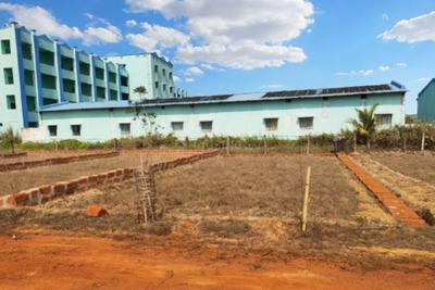 Residential 1500 Sqft Plot for sale at Pitapalli, Bhubaneswar ...