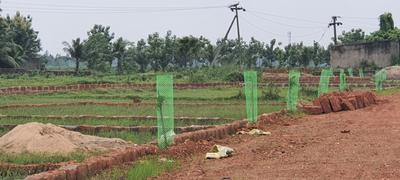 Residential 1200 Sqft Plot for sale at Hanspal, Bhubaneswar | Property ...