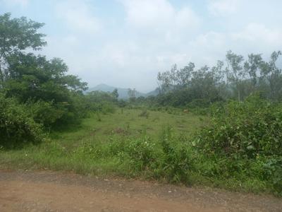 Agricultural Land for Sale in India | 2614+ Farm Lands for Sale in India