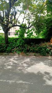 Vijaya Bank Layout, Bilekahalli, Bangalore | Vijaya Bank Layout Map ...