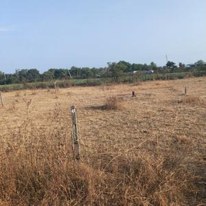 3 BHK 5814 Sqft Farm House for sale at Ayodhya Bypass, | Property ID ...
