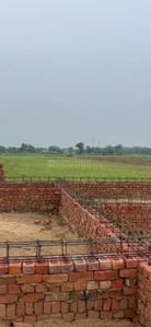 1200 Sqft Agricultural Land for Sale in TP scheme, Rewari | Property ID ...