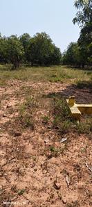 Residential 1000 Sqft Plot for sale at Vengal, Chennai | Property ID ...