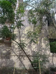 3 BHK 700 Sqft Independent House for sale at Delta I Greater Noida ...