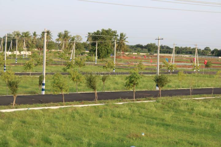 Residential 1800 Sqft Plot for sale at Gundlapalem, Nellore | Property ID - 11405483