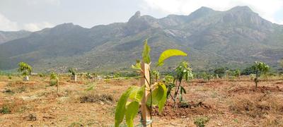 Pannimadai, Coimbatore | Pannimadai Map, Photos and Places to Visit ...