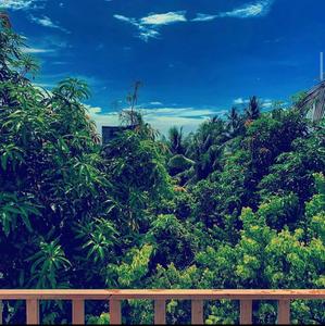 Independent Houses in Navsari | 17+ Houses for sale in Navsari