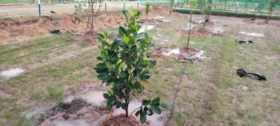 Buy Residential Plots for sale in Vengal, Chennai - July 2022 | 40 ...