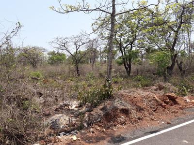 Buy Residential Plots for sale in North Goa, Goa | 522+ Lands for sale ...