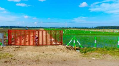 Agricultural Land in Tamil Nadu - August 2022 | | 482+ Agricultural ...