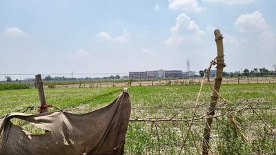 Residential 1000 Sqft Plot for sale at Anora Kala, Faizabad Road ...