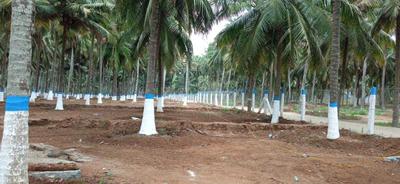 Residential 1200 Sqft Plot for sale at Kinathukadavu, Coimbatore ...