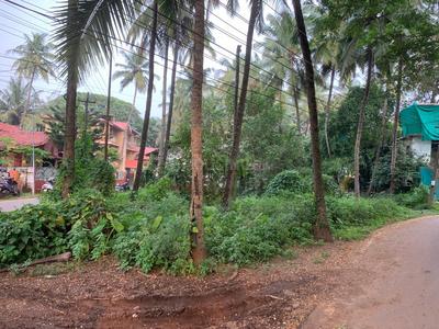 Residential 1264 Sqft Plot for sale at Santa Cruz, Goa | Property ID ...