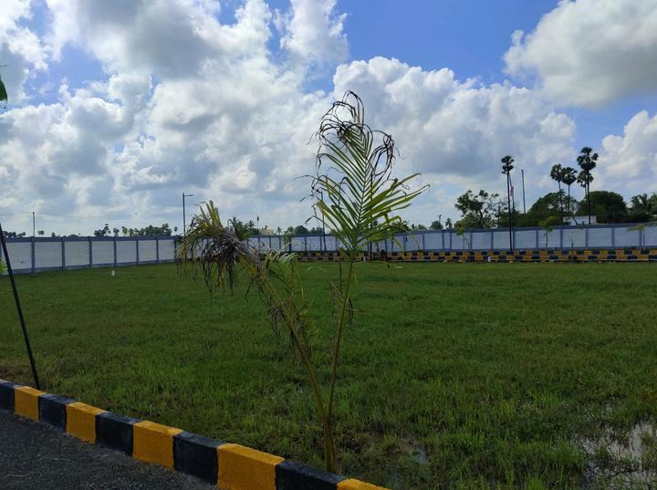 Harini Wonder City in Eachangadu, Chennai - Price, Reviews & Floor Plan