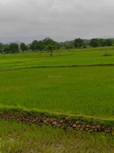 Farm N Land Roha Location Map Tala, Raigad