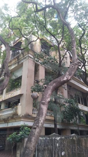 Imperial Kooper Kastle in Juhu, Mumbai - Price, Reviews & Floor Plan