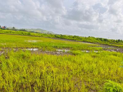 Capstone Land Plots In Belondakhar in Belondakhar, Navi Mumbai - Price ...