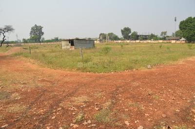 Shree Nagar Location Map Timarni, Harda