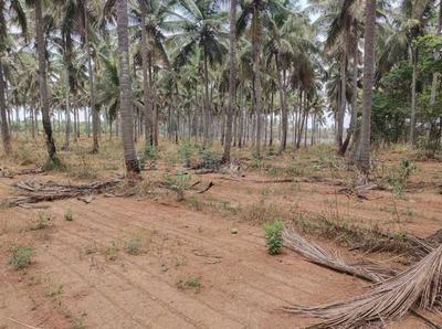IG3 Ekta Elements in Kannamangala - Doddaballapura Taluk, Bangalore ...