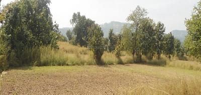 Om Sai Developers in Shahapur, Thane - Price, Reviews & Floor Plan