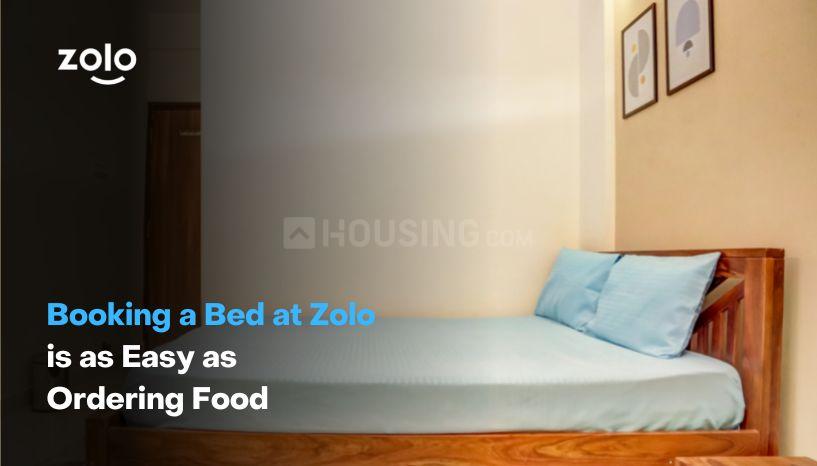 PGs by Zolo Stays | Paying Guests on Housing.com