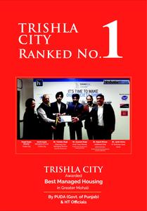 Trishla City in Nabha, Zirakpur - Price, Reviews & Floor Plan